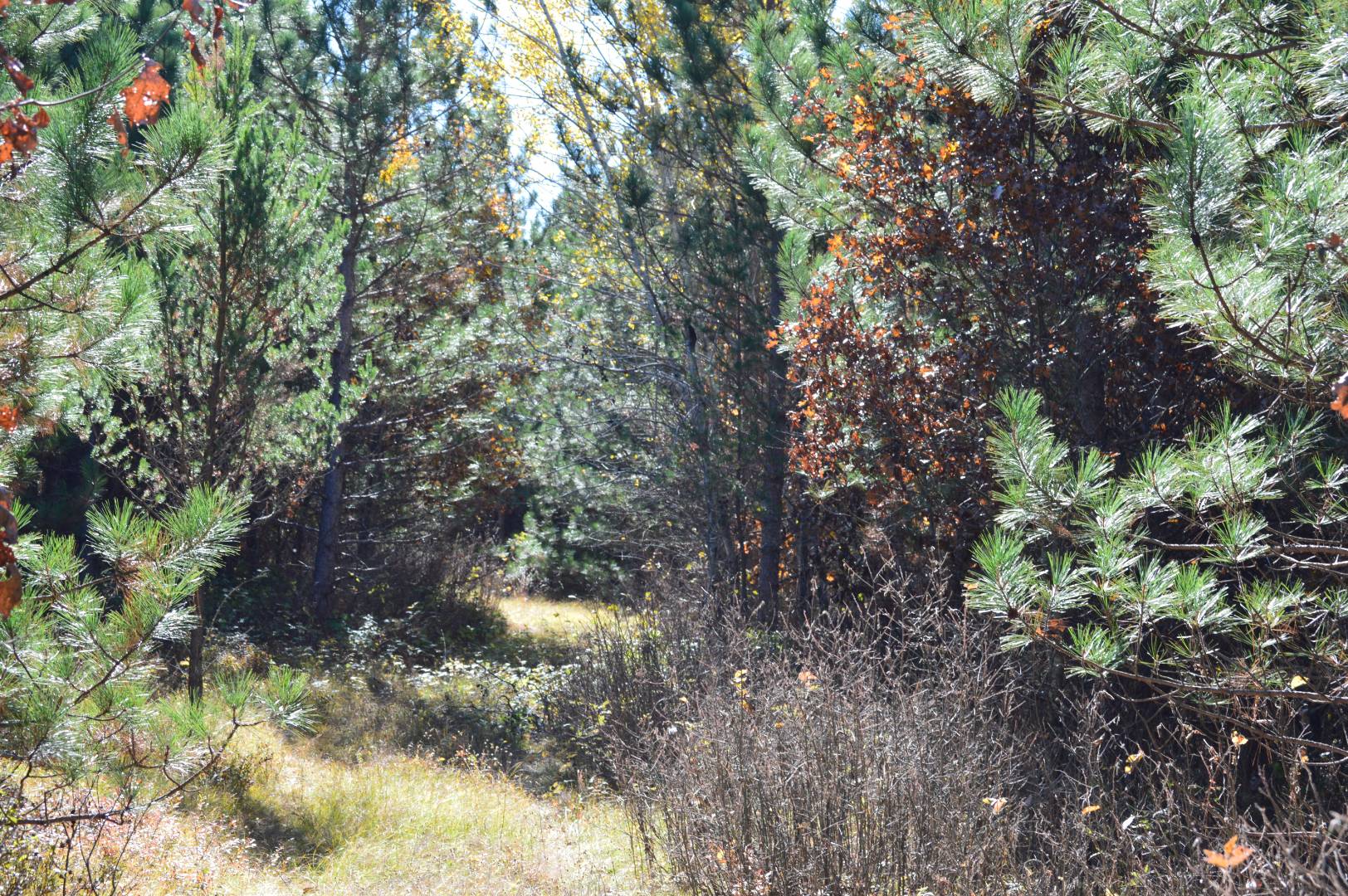 001 Black Brook Road, Webster, WI 54893 (Sold NYStateMLS Listing #10948311)