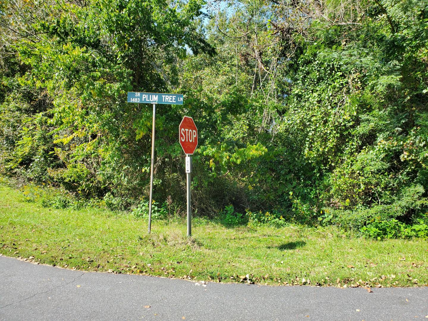 0 Spring Shore Road 69 Fallstown NC 28677 Off Market MyStateMLS 