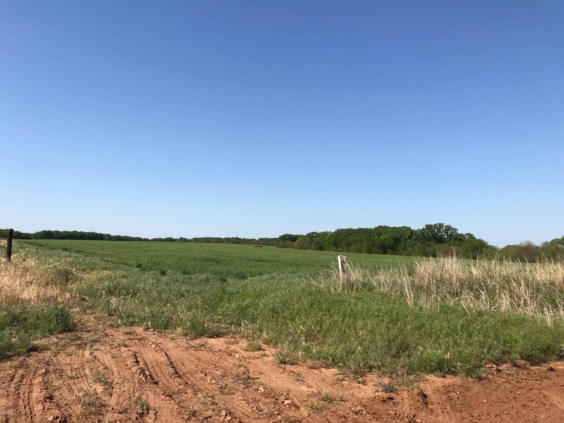 SE 10 Rd., Freeport, KS 67049 (Off Market NYStateMLS Listing #11054492)
