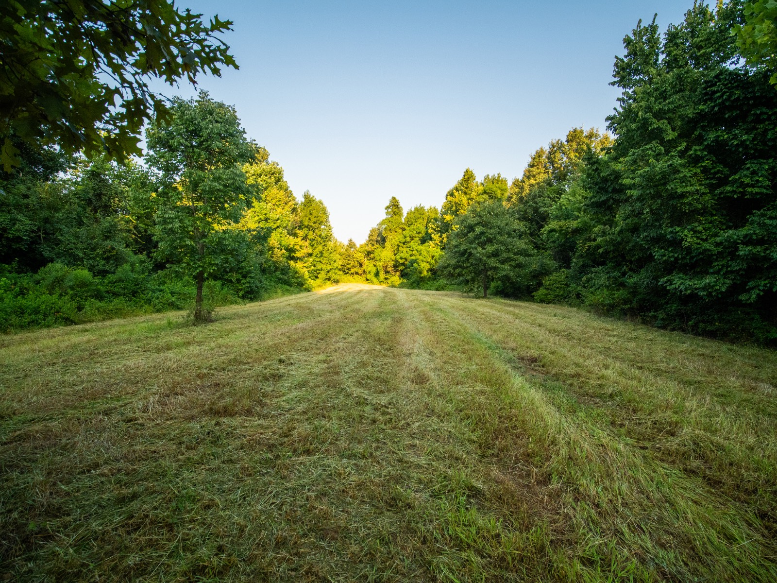 00 Holly Grove Meeks Rd Cruger MS 38924 - Buck Commander Properties