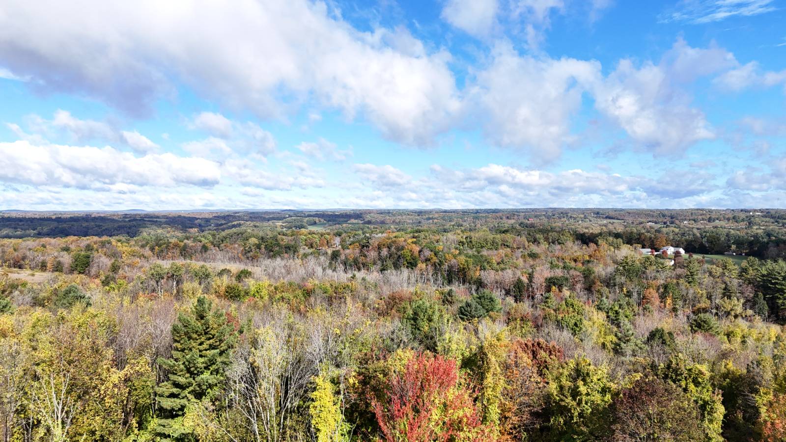 00 Jean Drive, Amsterdam, NY 12010 (For Sale NYStateMLS Listing #11590208)