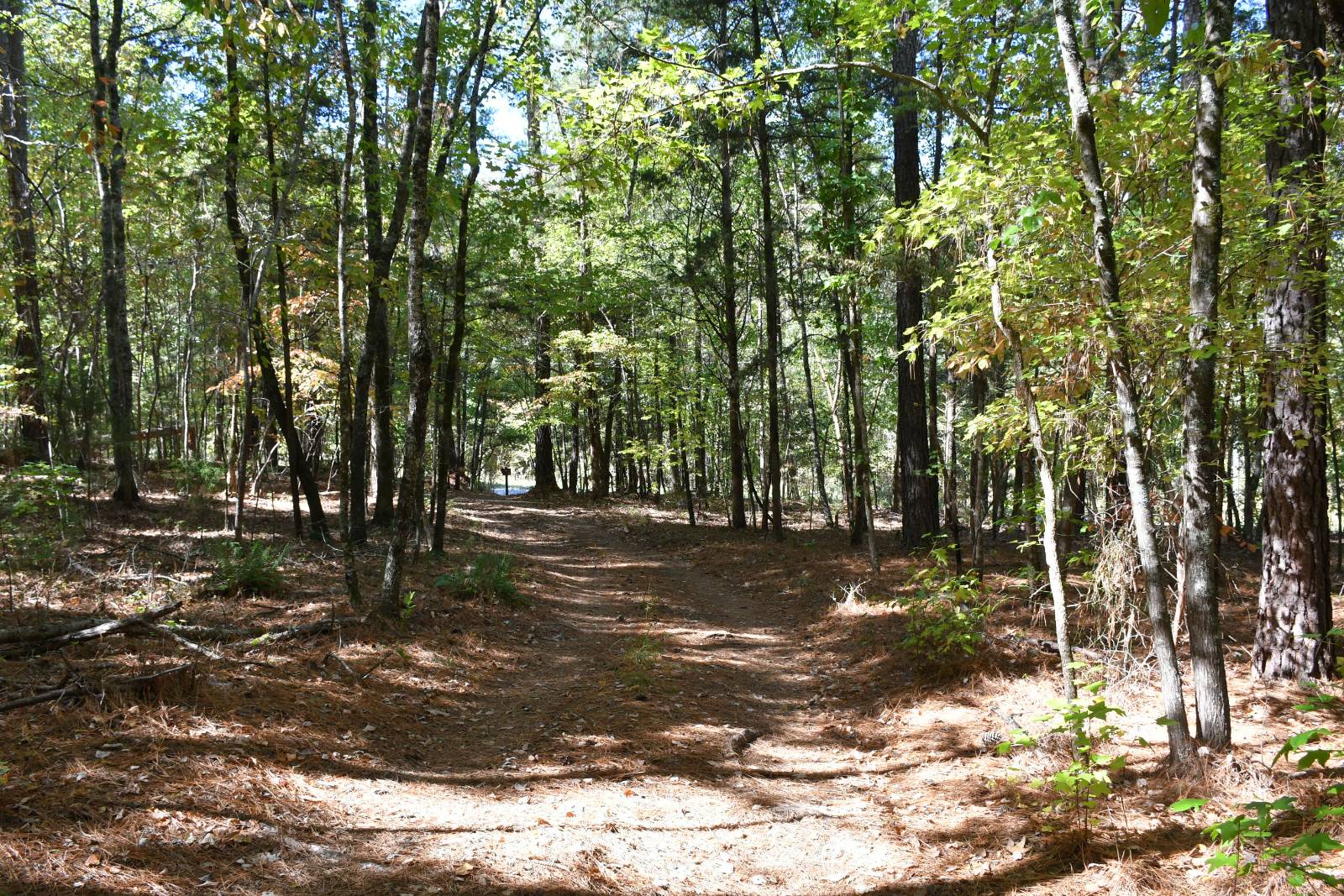 1350 Grover Wilson Rd., Blythewood, SC 29016 (For Sale NYStateMLS Listing #11608287)