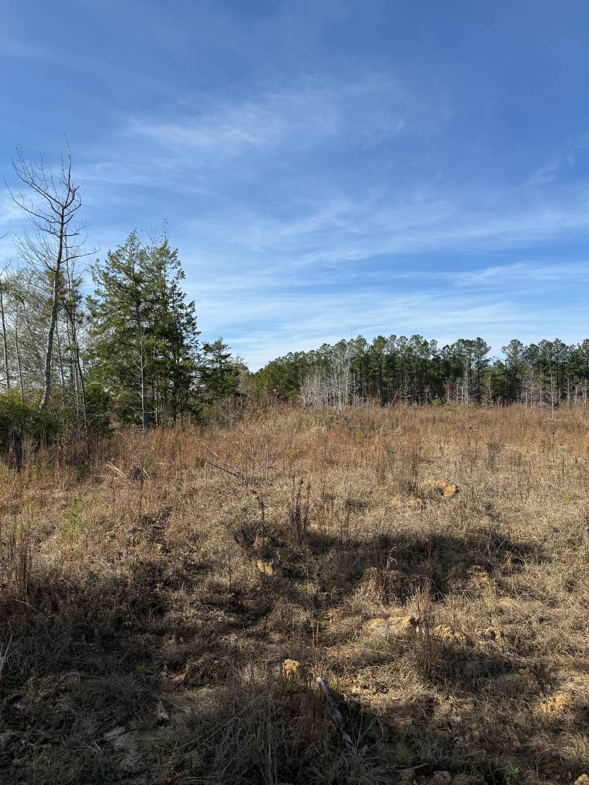 3160 Roebuck Drive, Preston, MS 39354 (For Sale NYStateMLS Listing ...