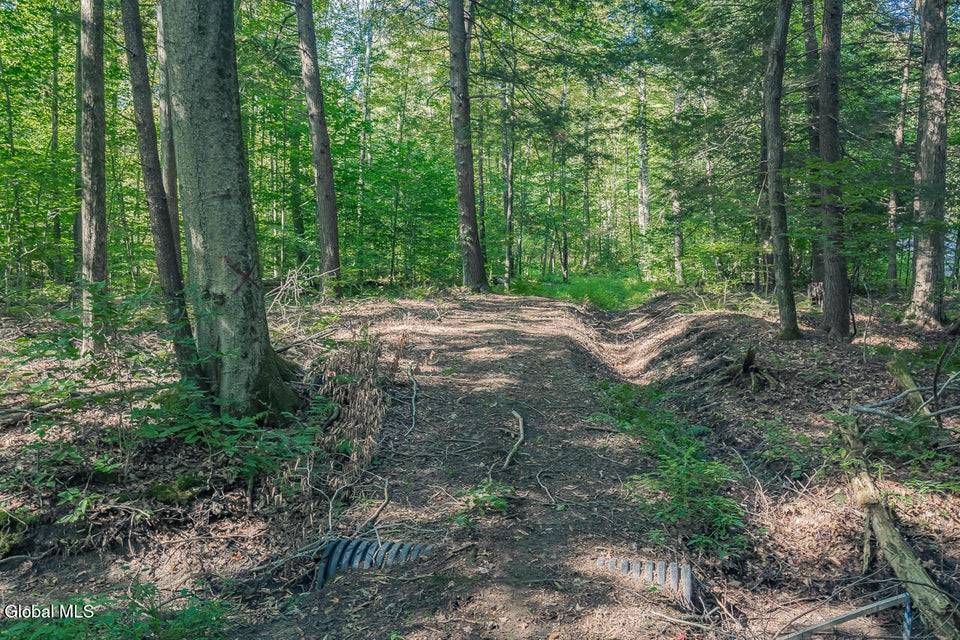 L.39.2 Rt.9, Ganesvoort, NY 12831 (For Sale NYStateMLS Listing #11610681)