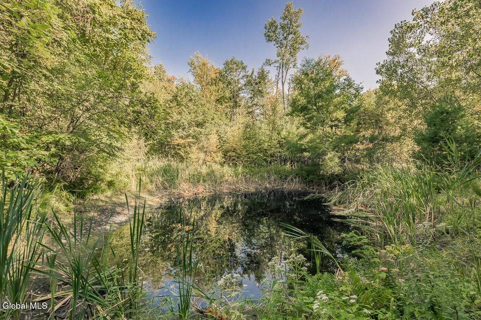 L.39.2 Rt.9, Ganesvoort, NY 12831 (For Sale NYStateMLS Listing #11610681)