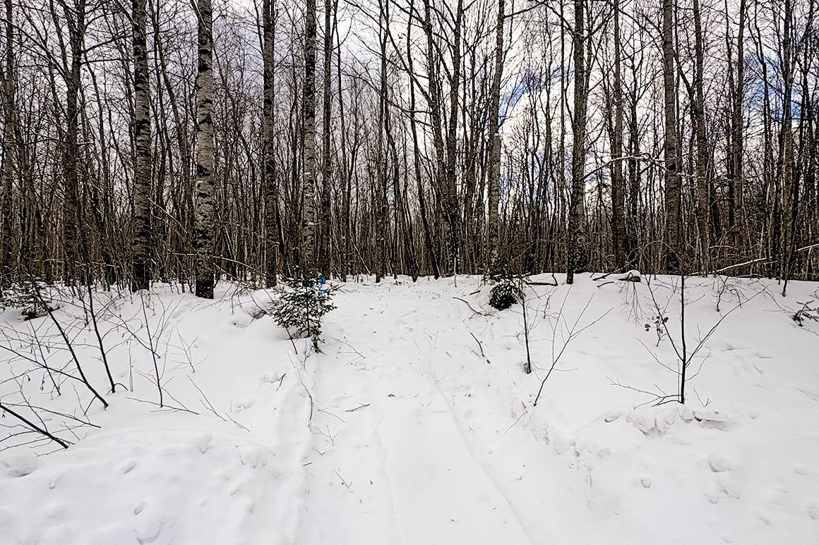 WI Land and Lake Property - Eric Ristey Broker