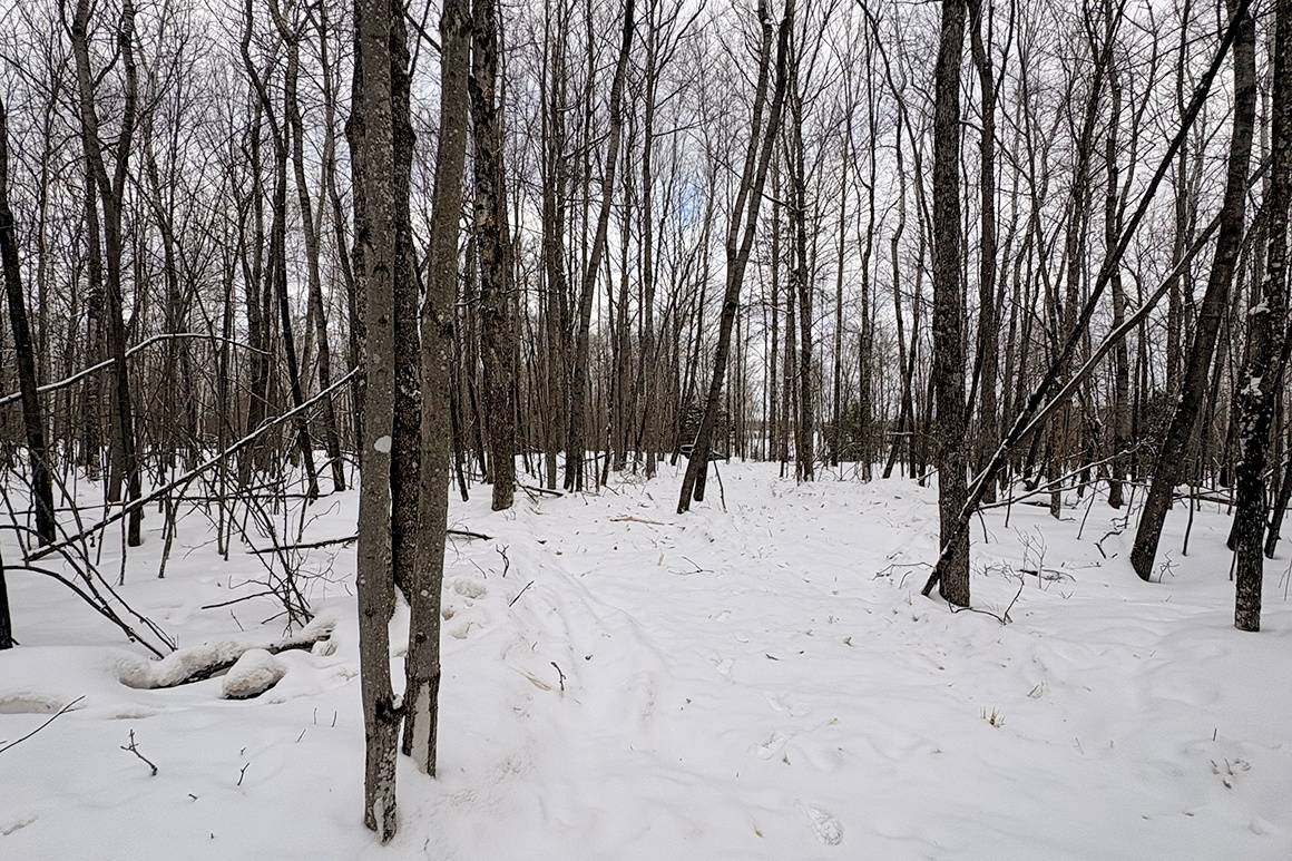 WI Land and Lake Property - Eric Ristey Broker